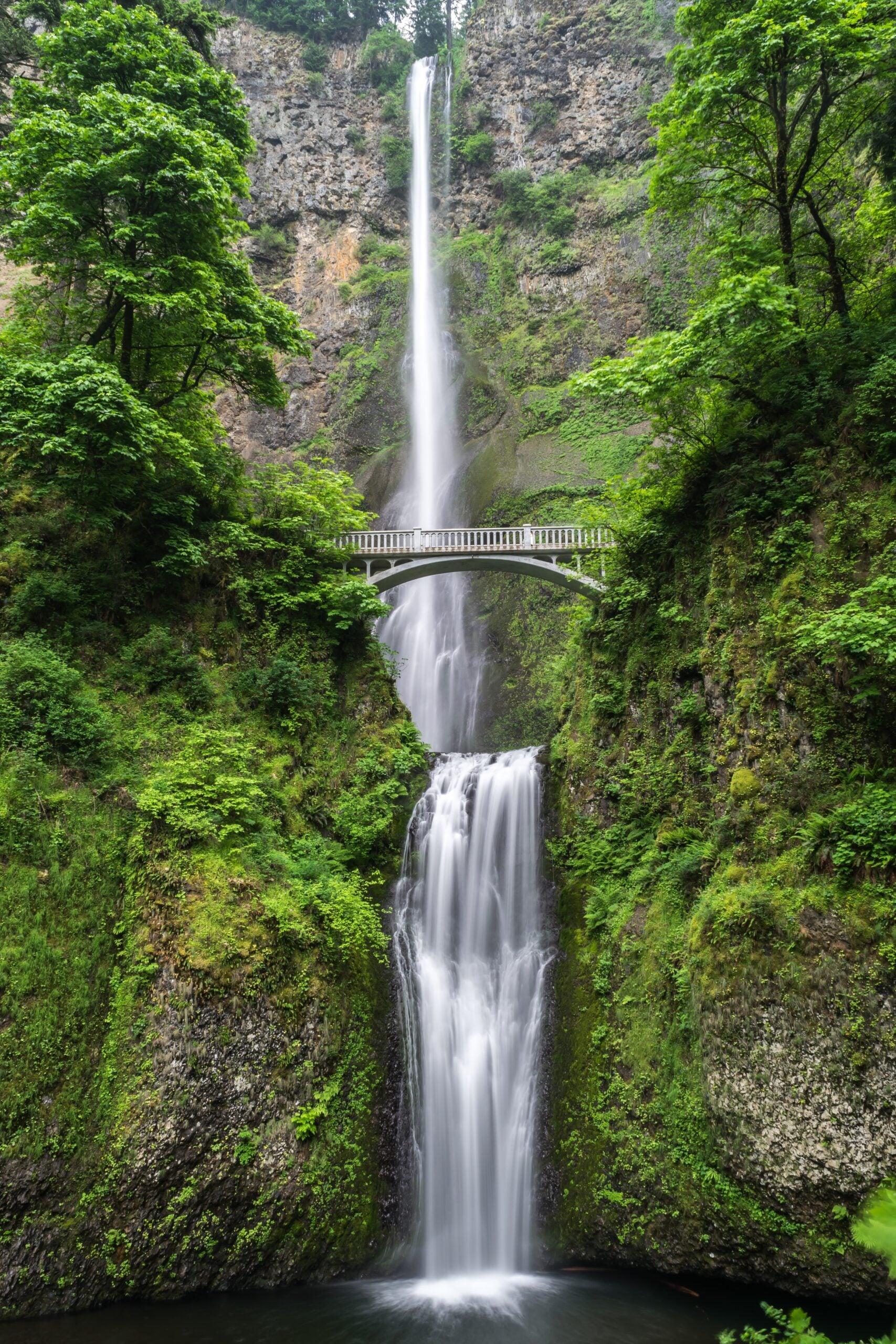 54 Beautiful Nature Journal Prompts For The Nature Lover In You – The ...