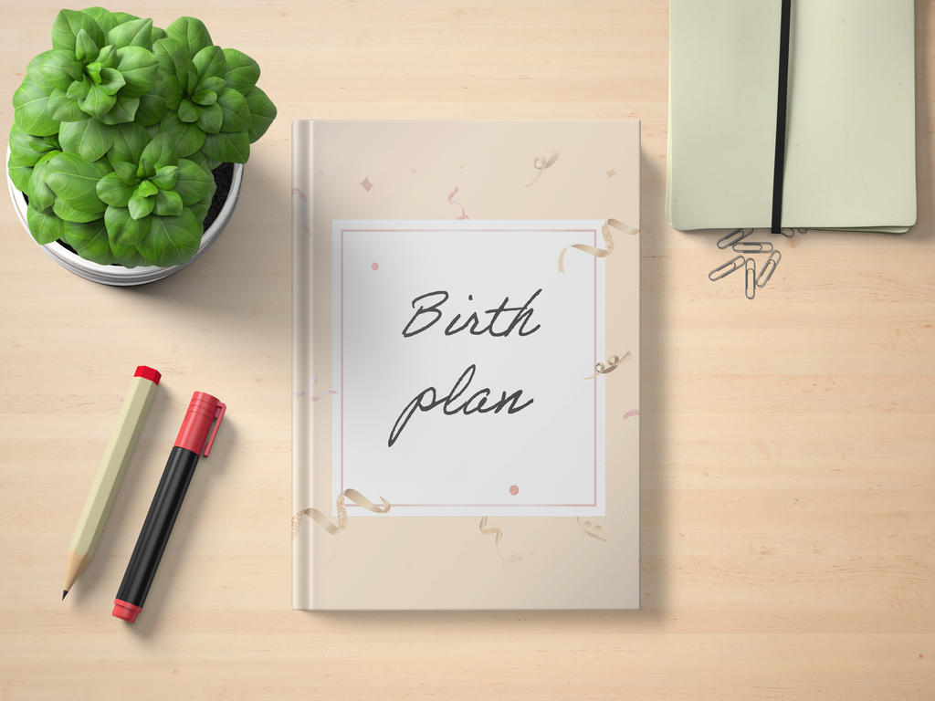 Birth Plan Journal (INSTANT DOWNLOAD) – The Fifth Element Life